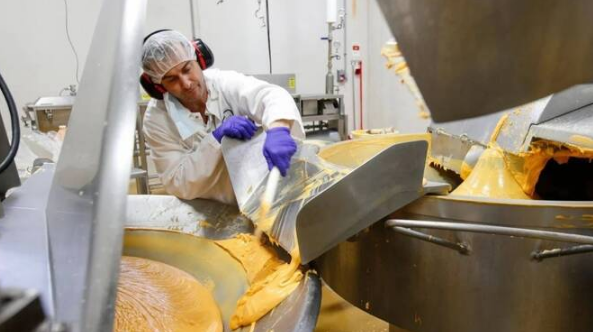 German Food Companies Eye Expansion and Investment Opportunities in ...